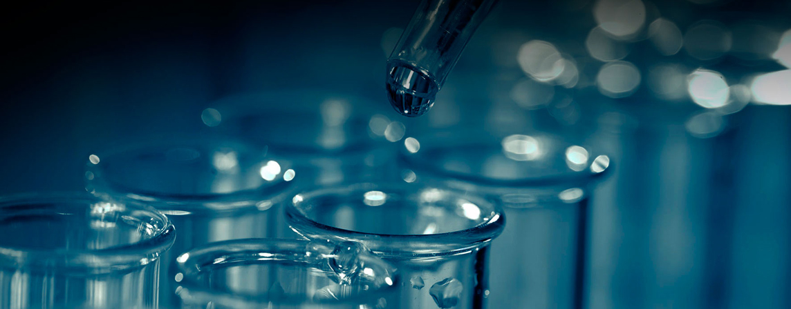 DELTA QUIM S.DE R.L. M.I.